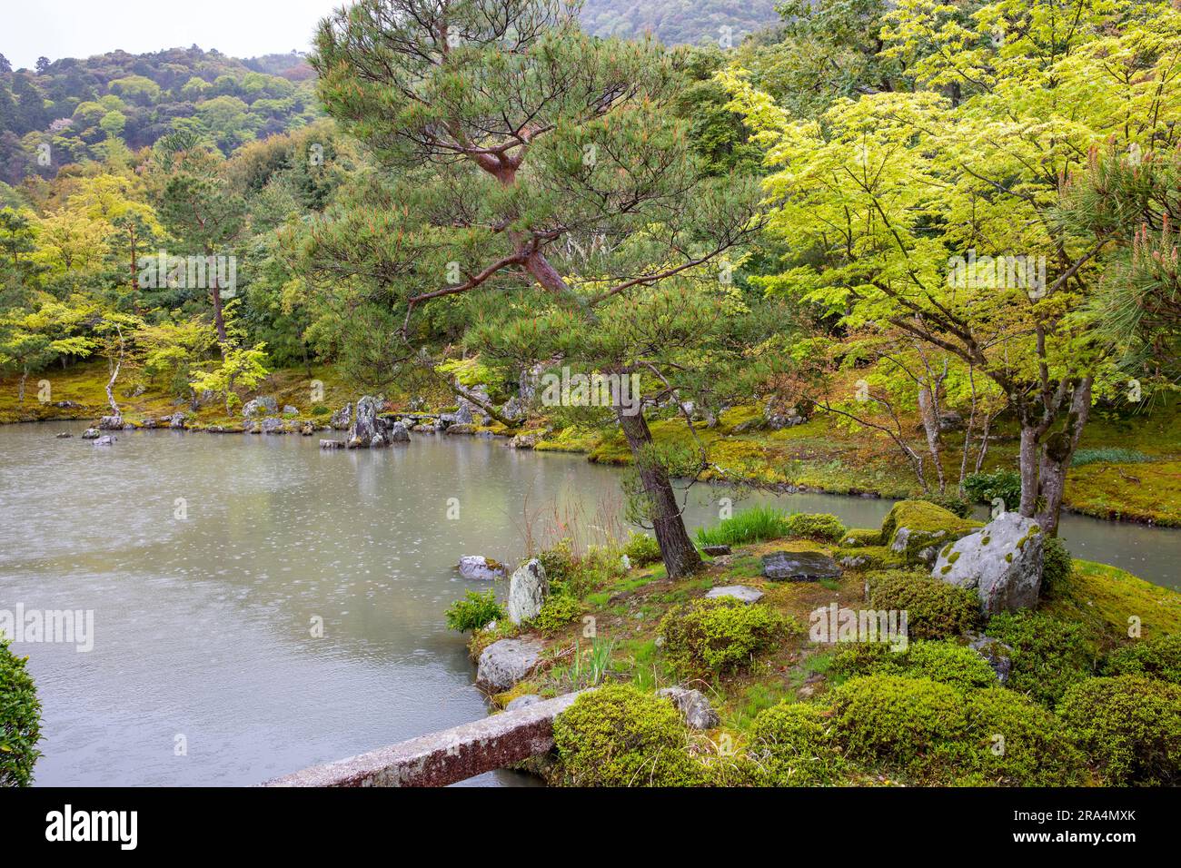 Kyoto,Japan,2023, Sogenchi Pond garden at World Heritage Tenryu-ji temple garden, UNESCO world ...