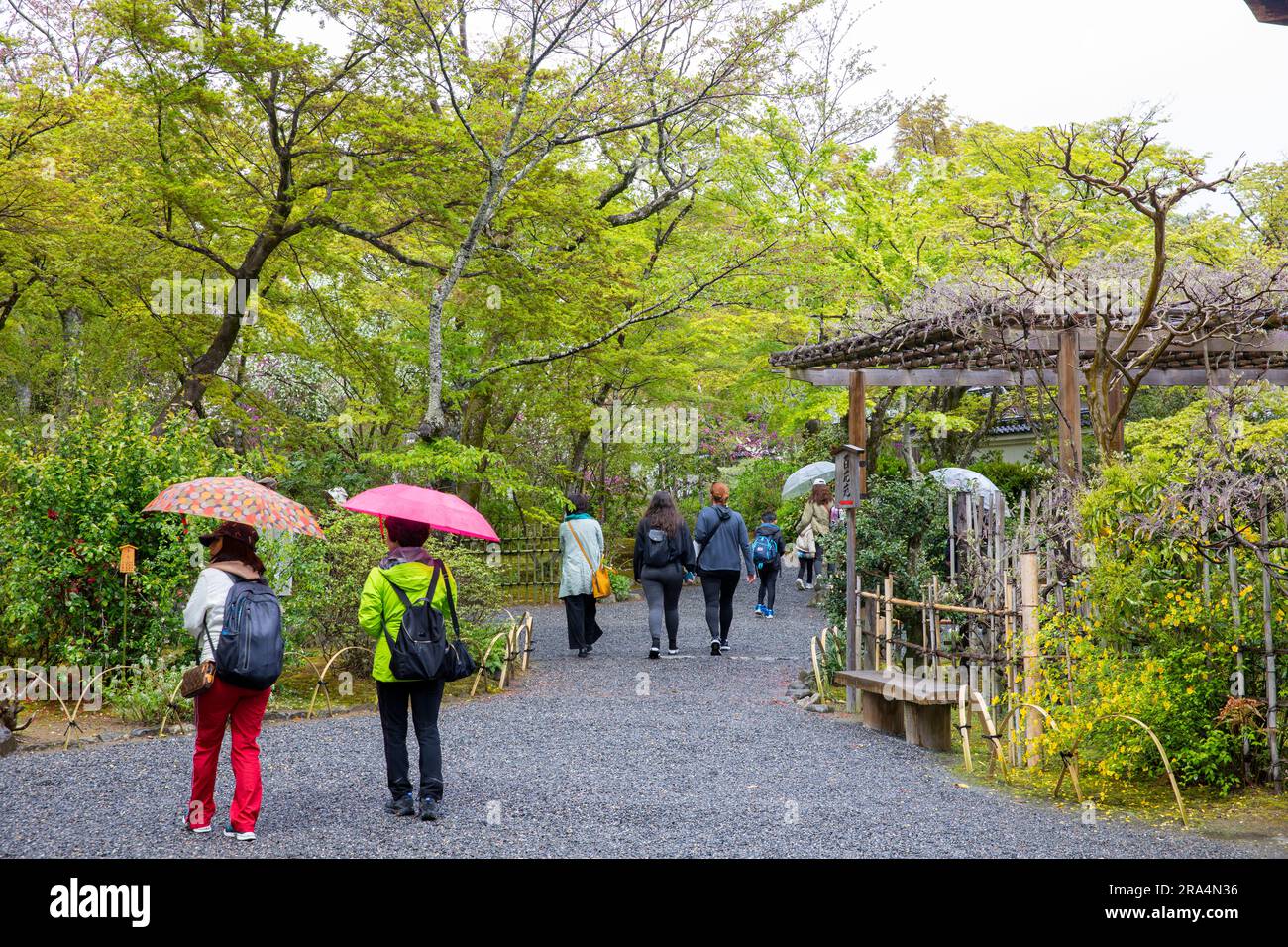Gardens at Tenryu-ji Temple in Kyoto,Japan, wet and rainy day as tourists walk through the ...