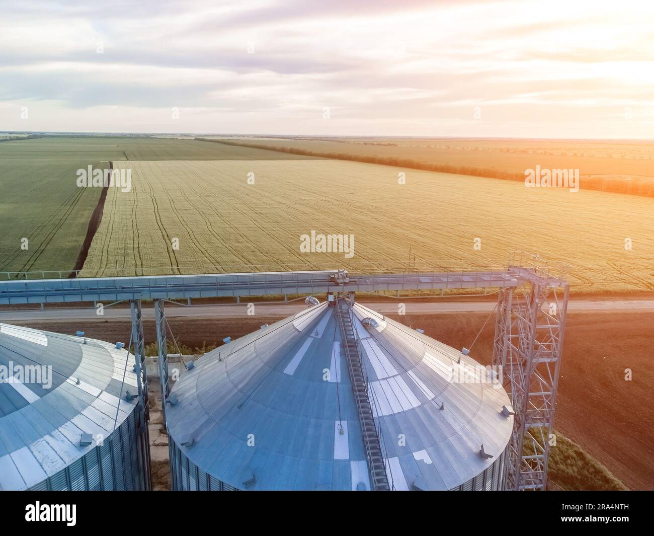 Grain silos on a green field background with warm sunset light. Grain ...