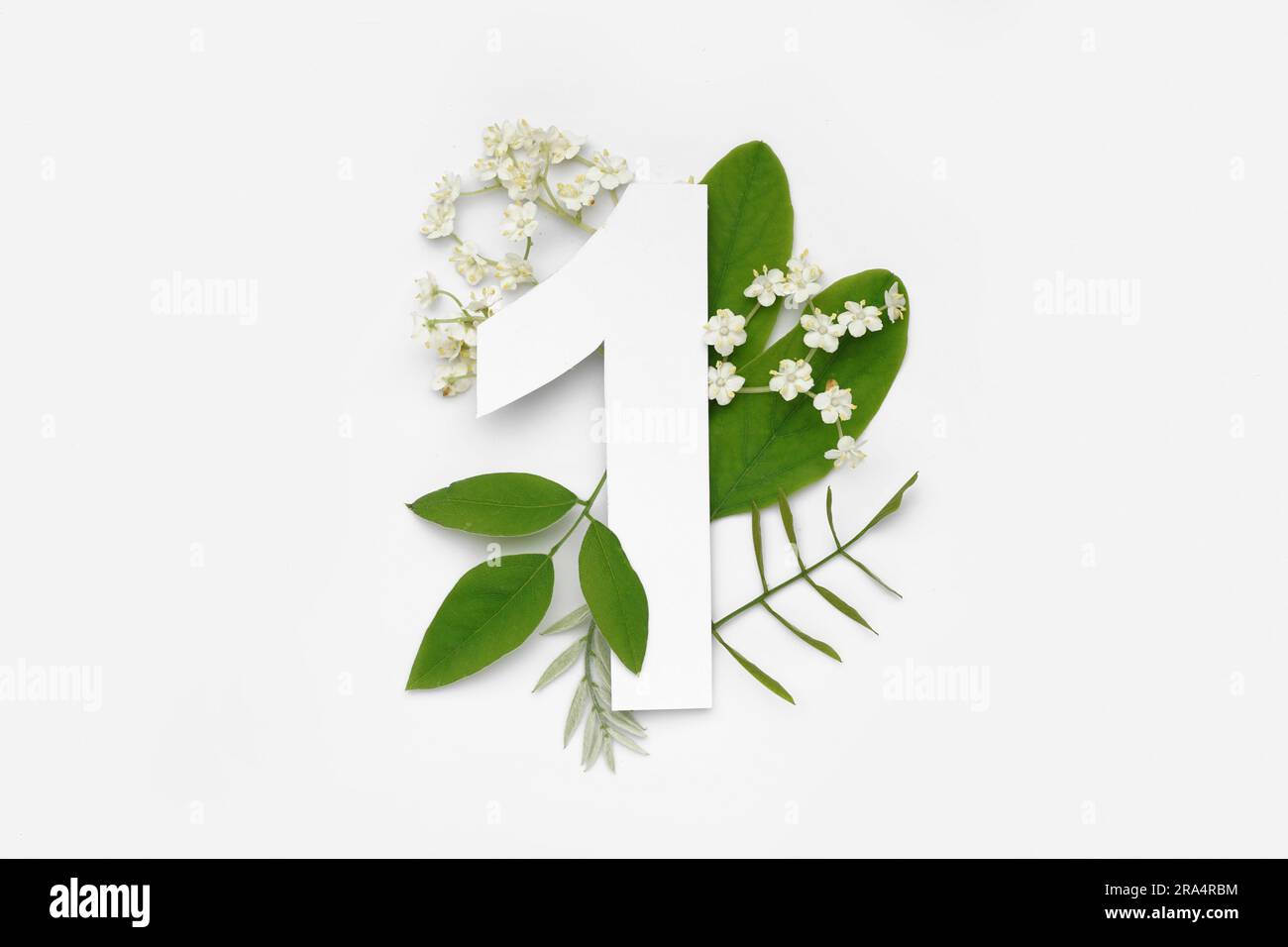 Green leaves and flowers with paper number one on white background ...