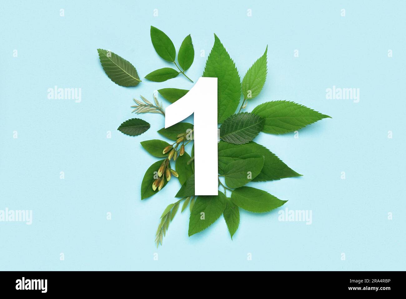 Green leaves with paper number one on blue background Stock Photo - Alamy
