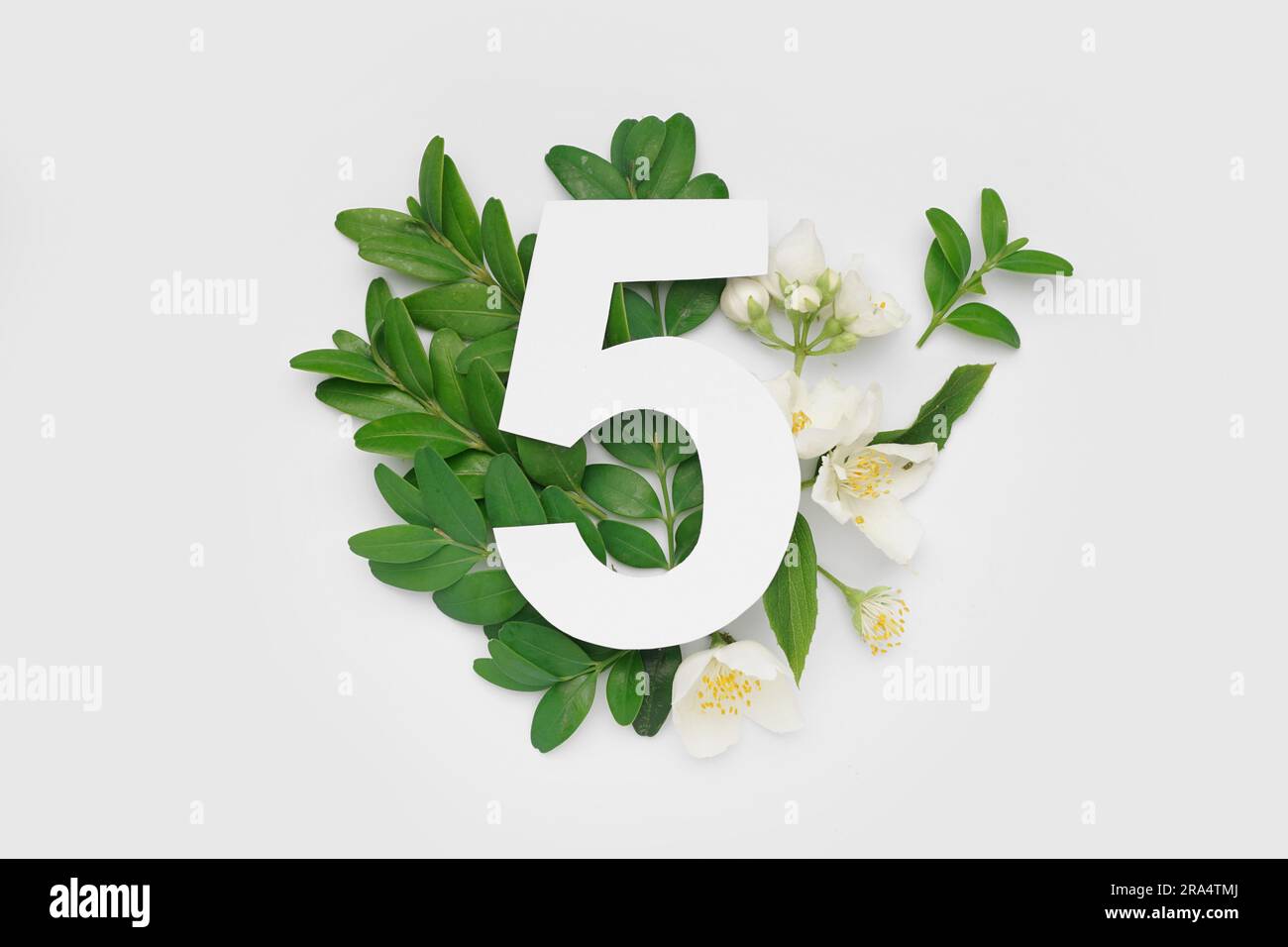 Green leaves and flowers with paper number five on white background ...