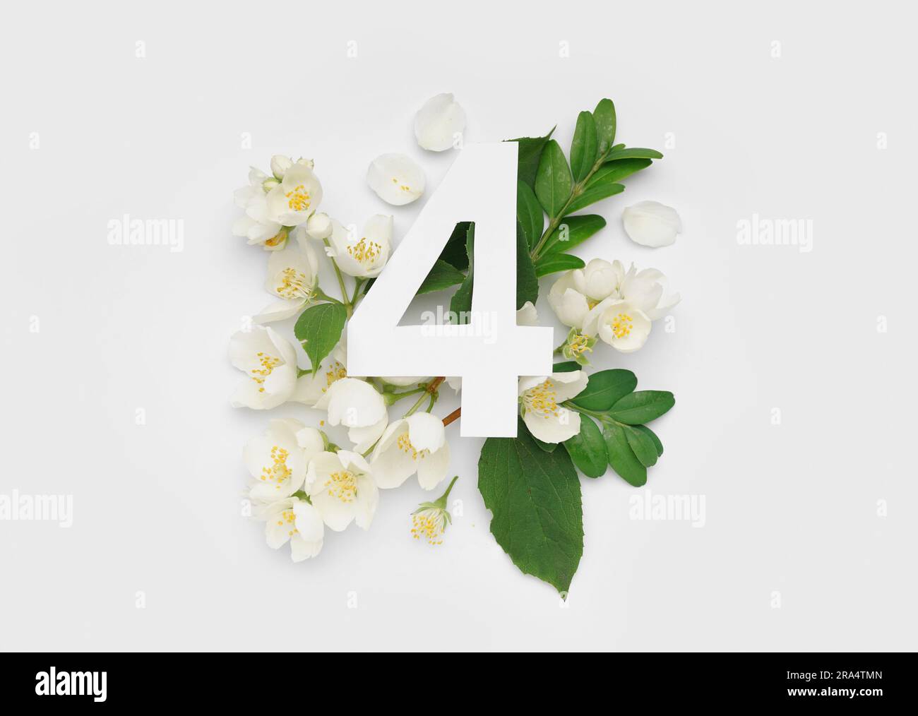 Green leaves and flowers with paper number four on white background ...