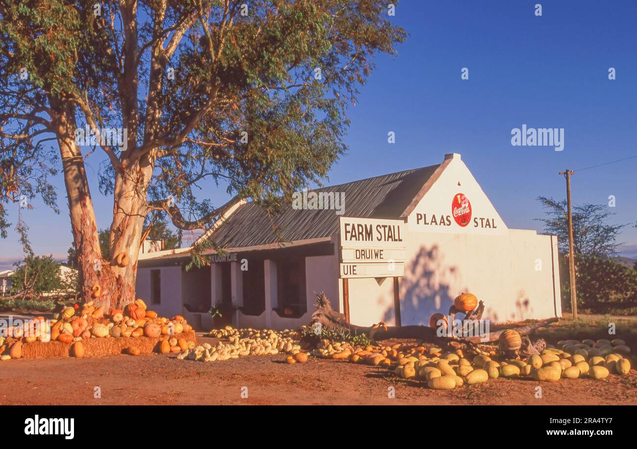 Colourful pumpkins on sale at a farm stall near Worcester in the ...
