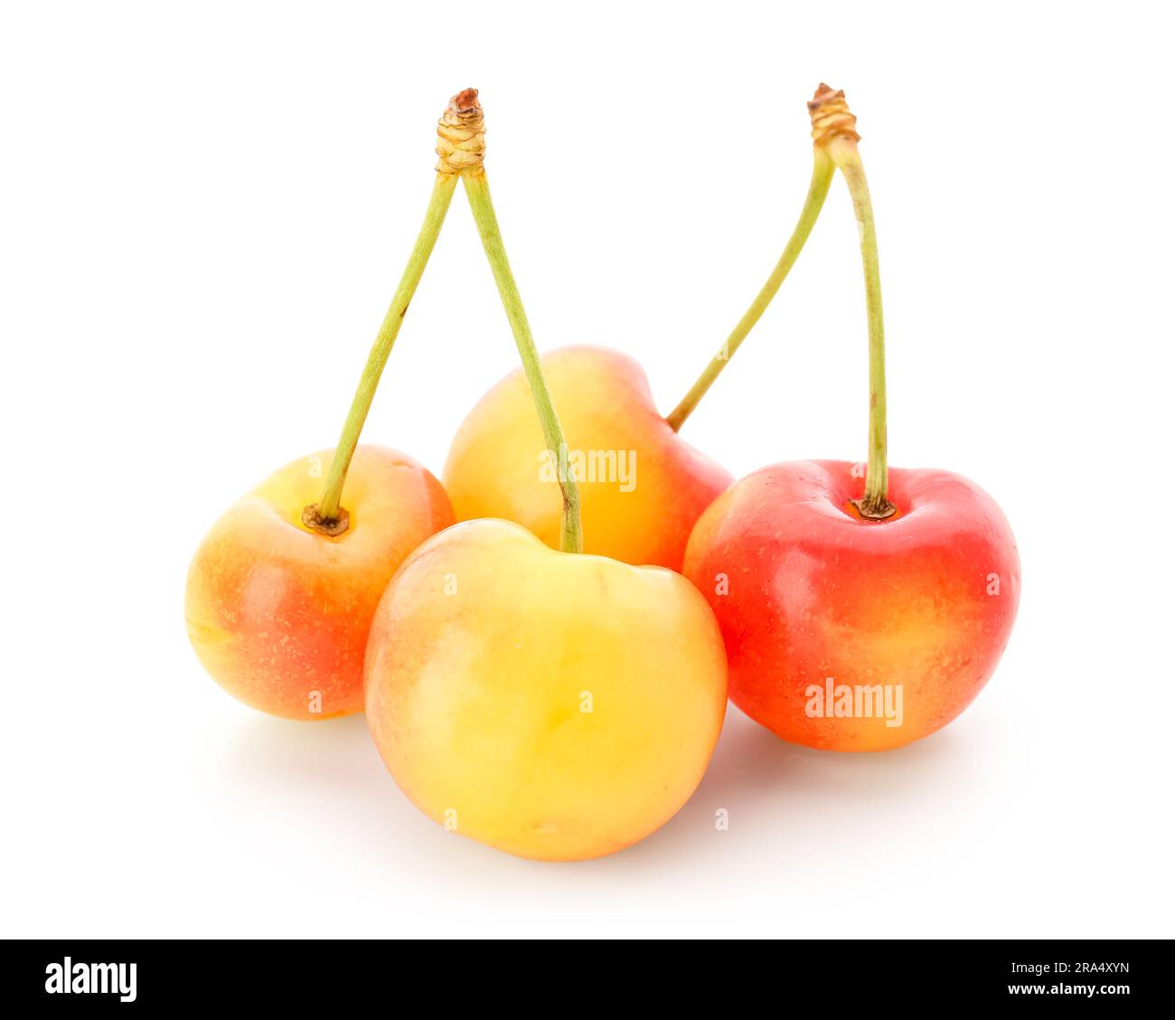 Sweet yellow cherries on white background Stock Photo - Alamy