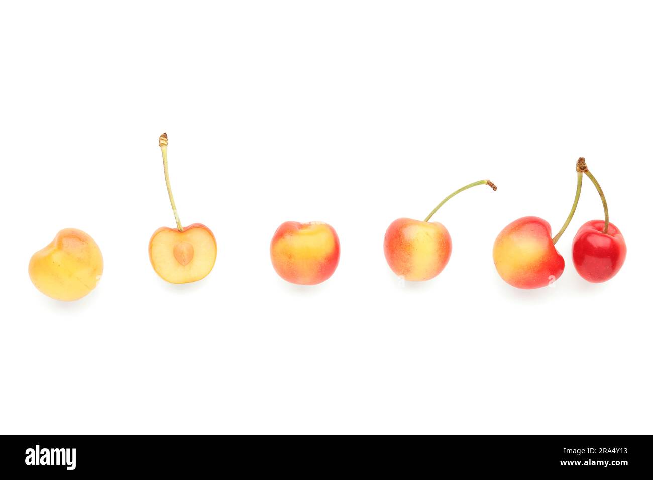 Sweet yellow cherries with half on white background Stock Photo - Alamy