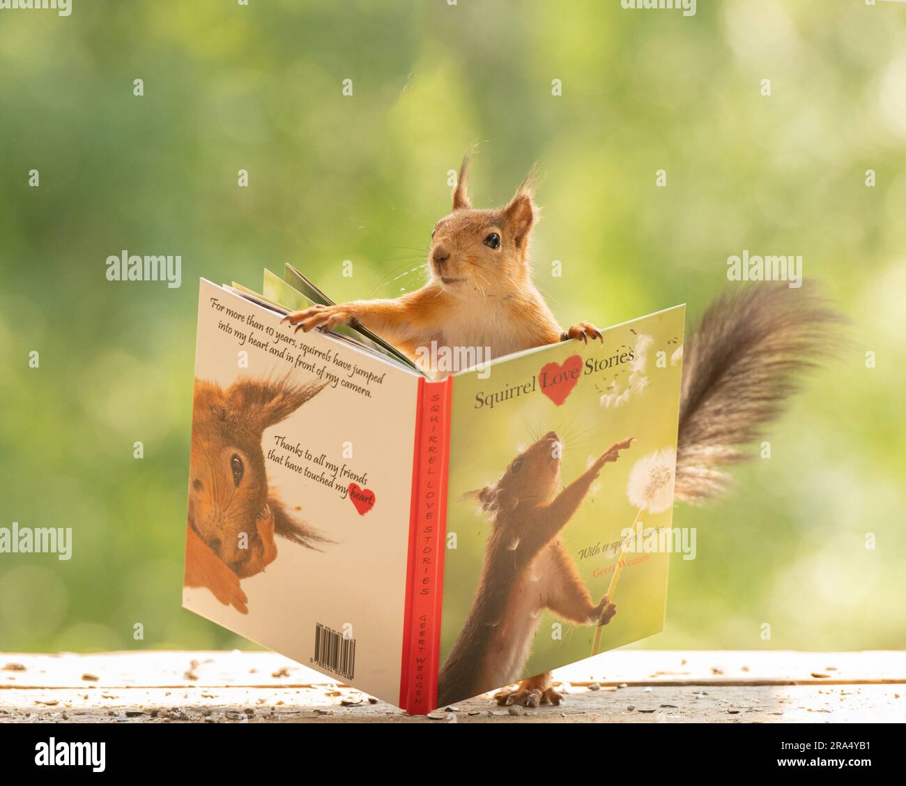 Duo alphabet hi-res stock photography and images - Alamy