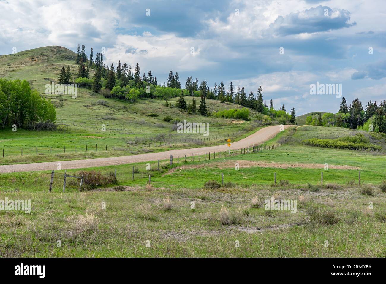 Cypress hills provincial park hi-res stock photography and images - Alamy