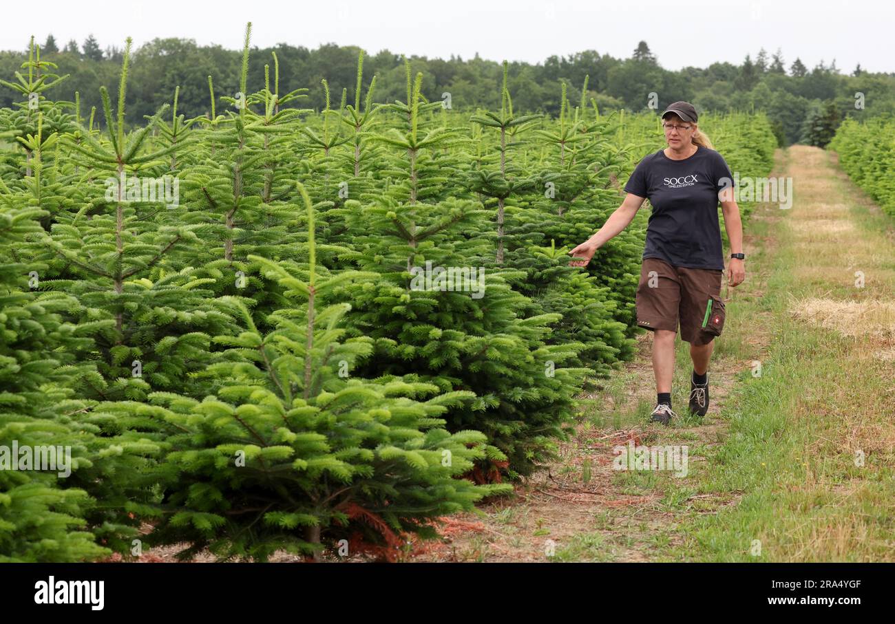 Adapted to dry places hi-res stock photography and images - Alamy