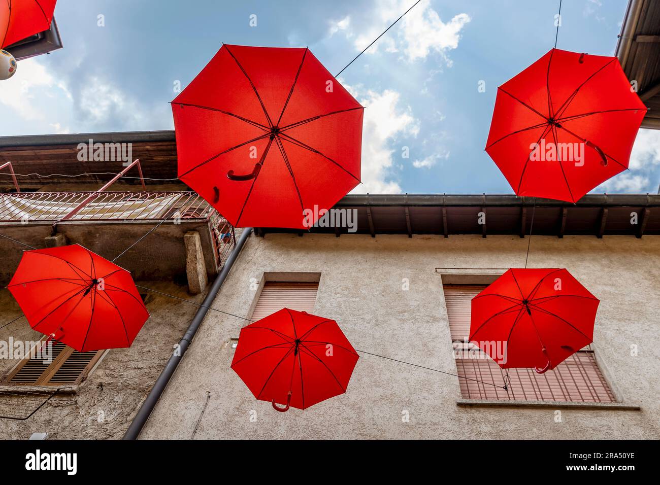 Red umbrellas suspended above a street in the historic center of Porto ...