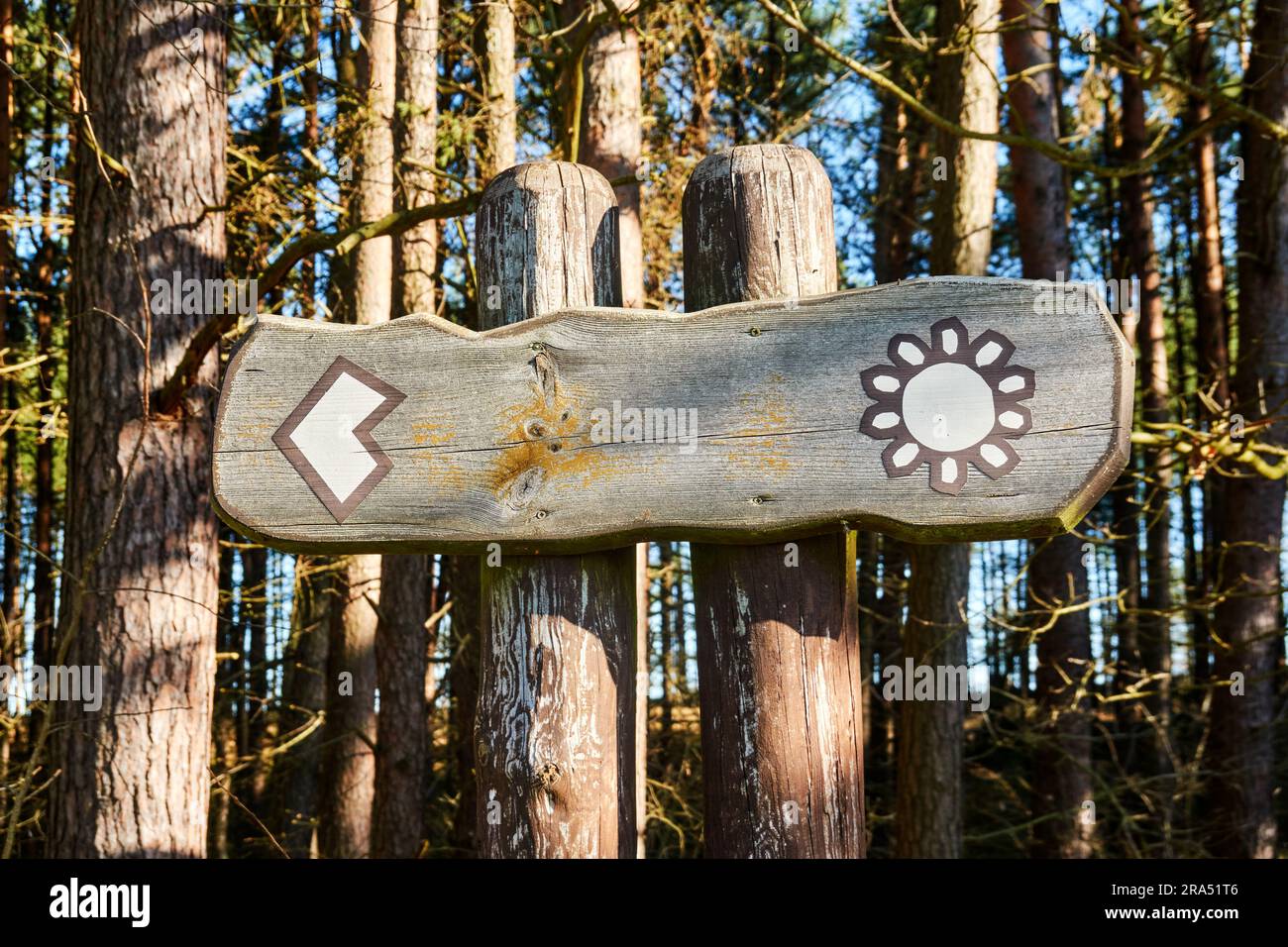 Signpost in a forest with an arrow and the sun as a sign for a place to ...