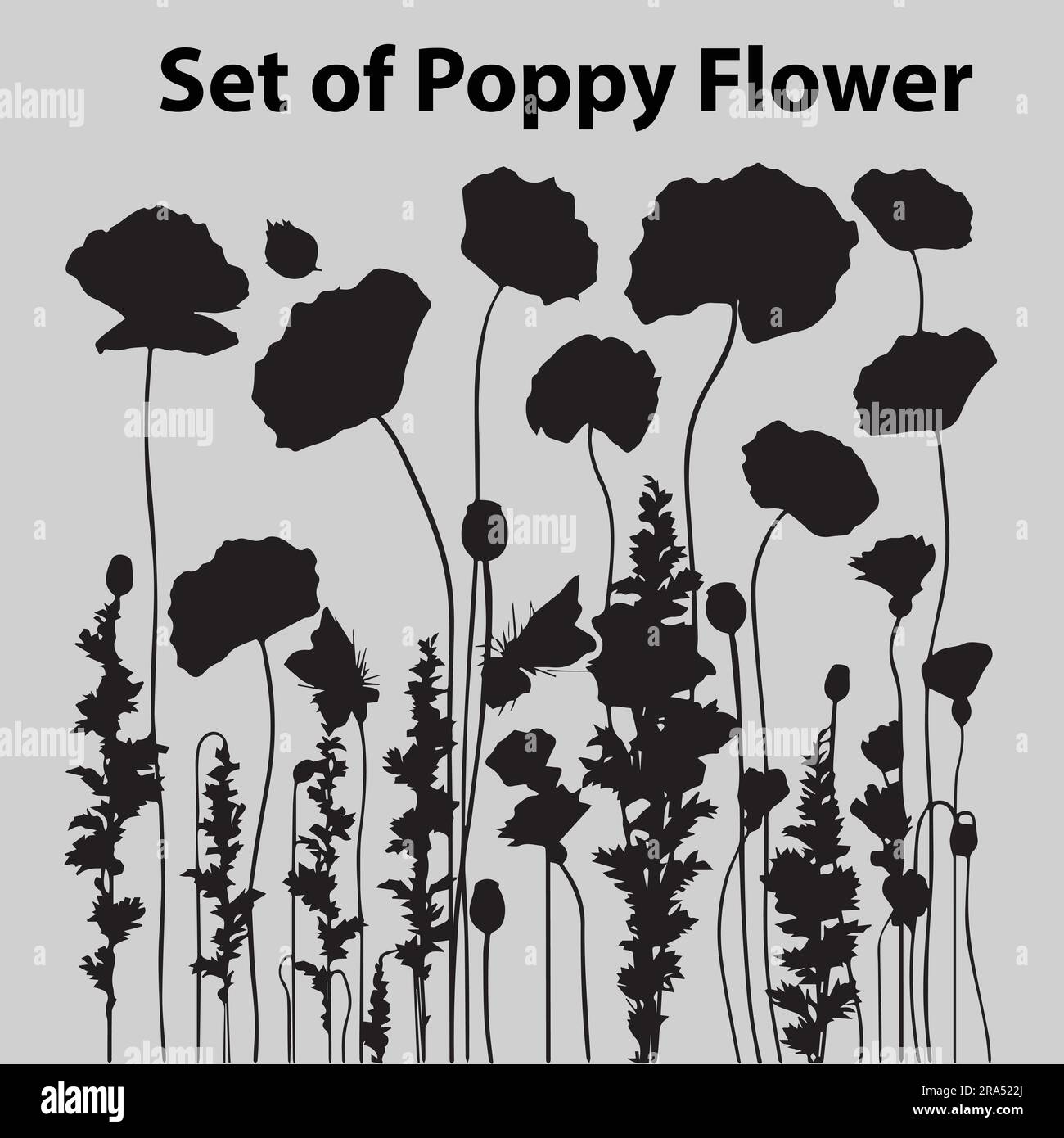 Poppy illustration Stock Vector Images - Alamy
