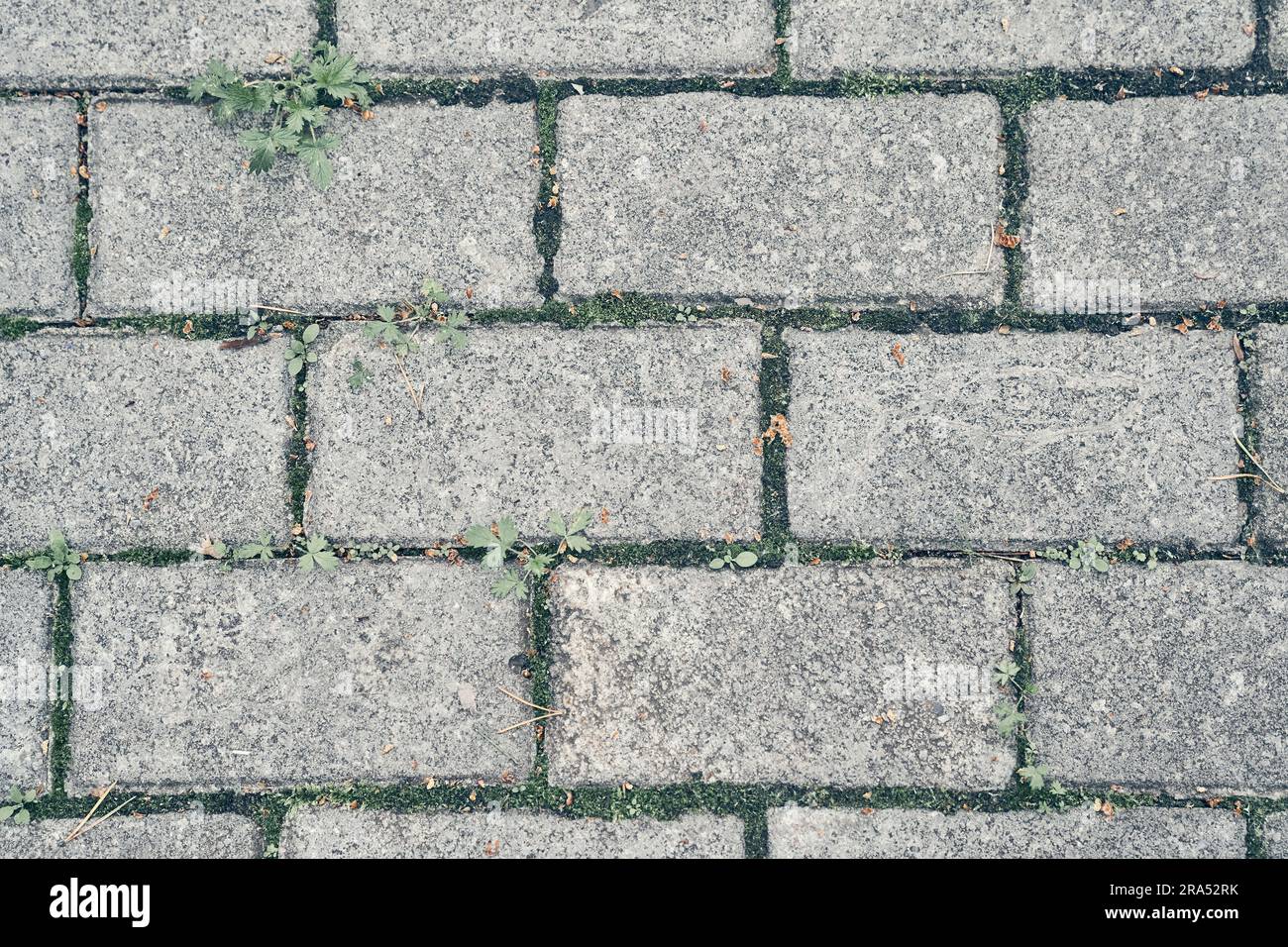 Paving slabs, copy space. Covering with modern textured paving slabs of ...