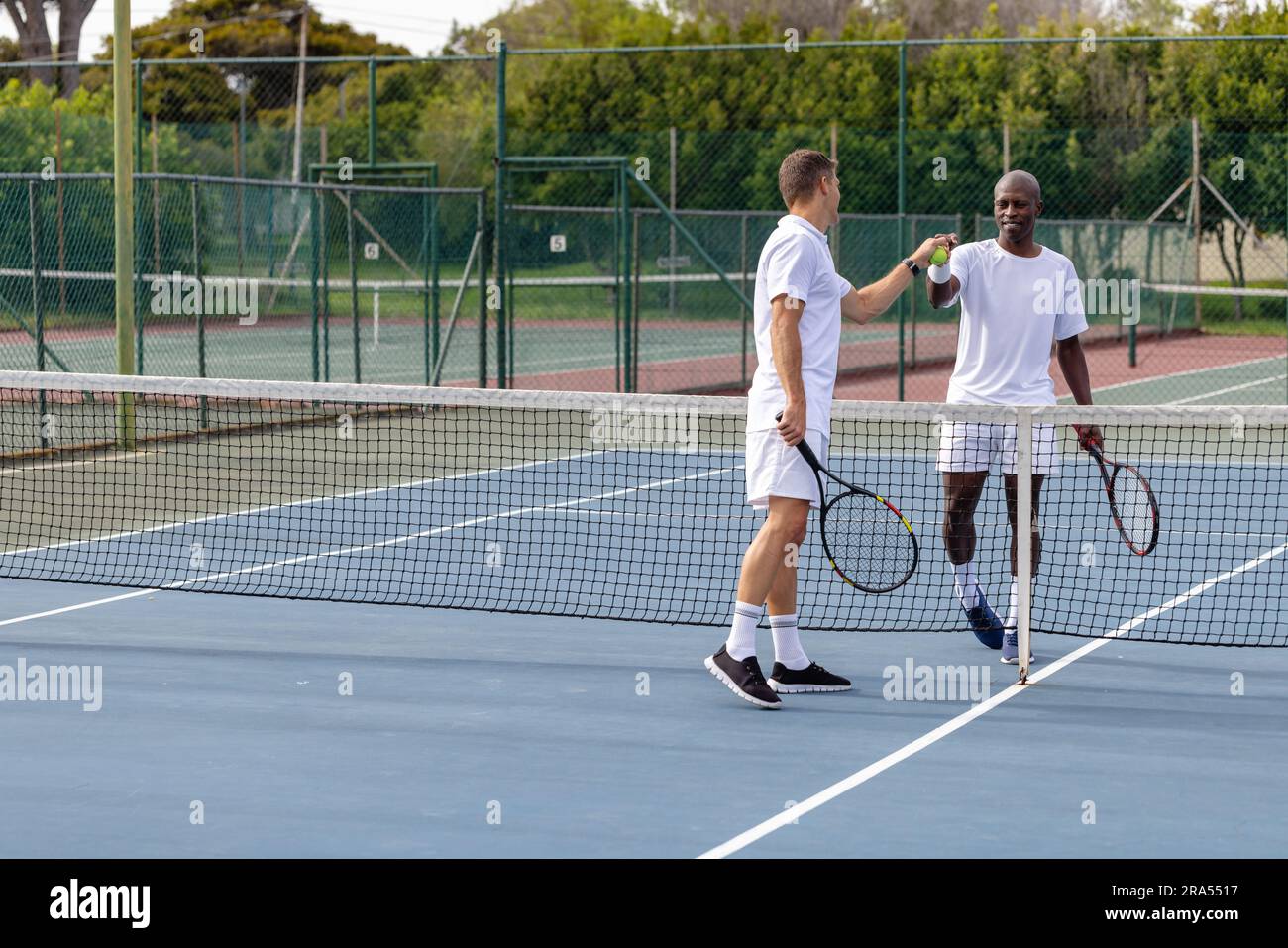 Happy diverse male tennis players fist bumping over net on outdoor ...