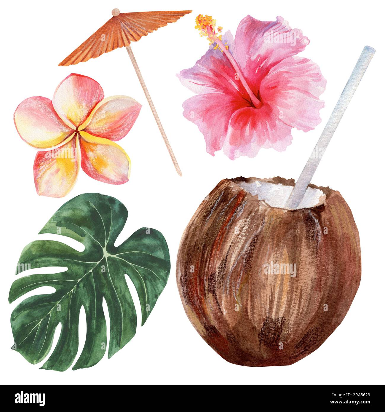 Summer vacation illustration set. Watercolor drawing. isolated object ...