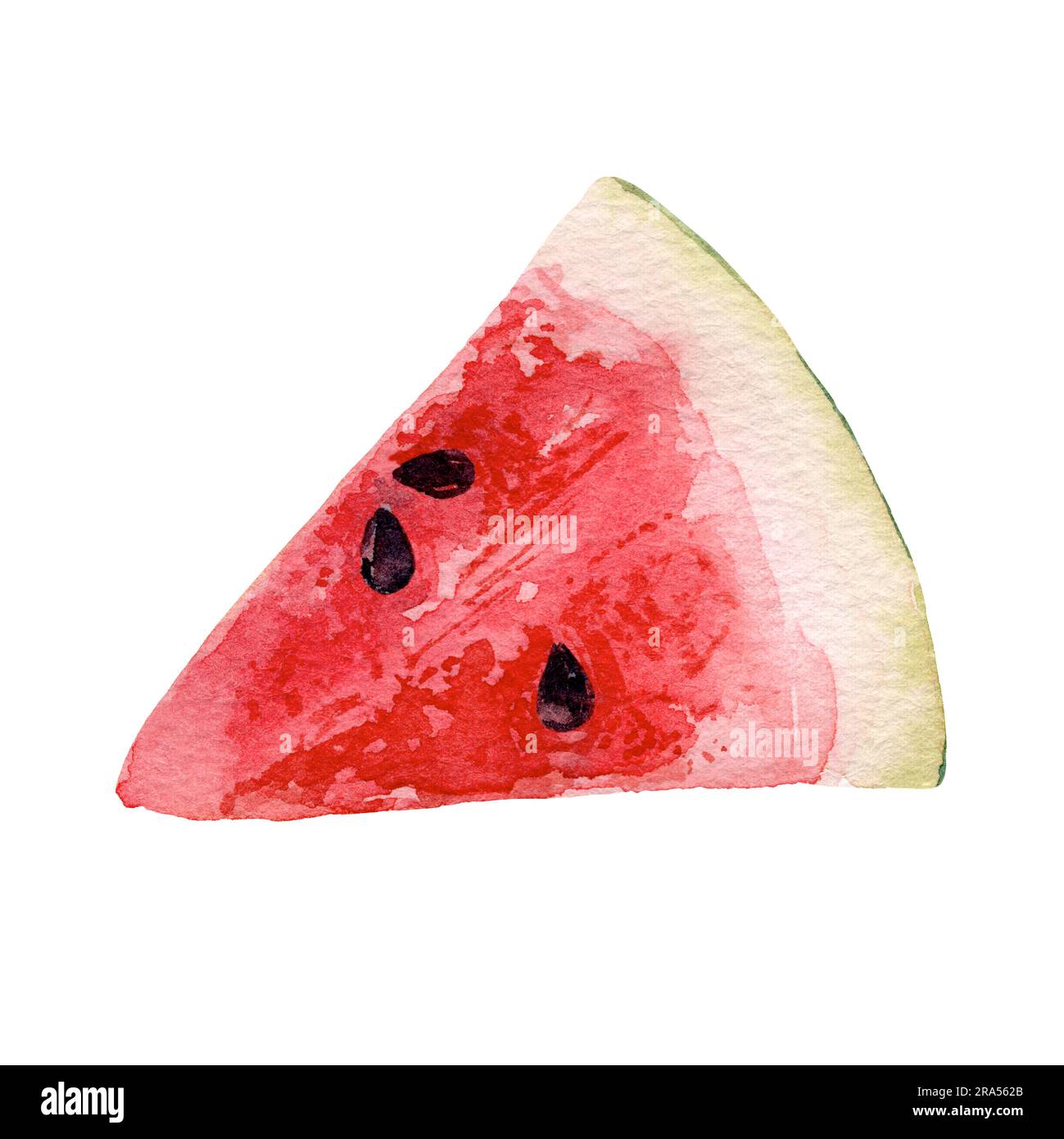 A slice of watermelon. Beautiful watercolor illustration on a white ...