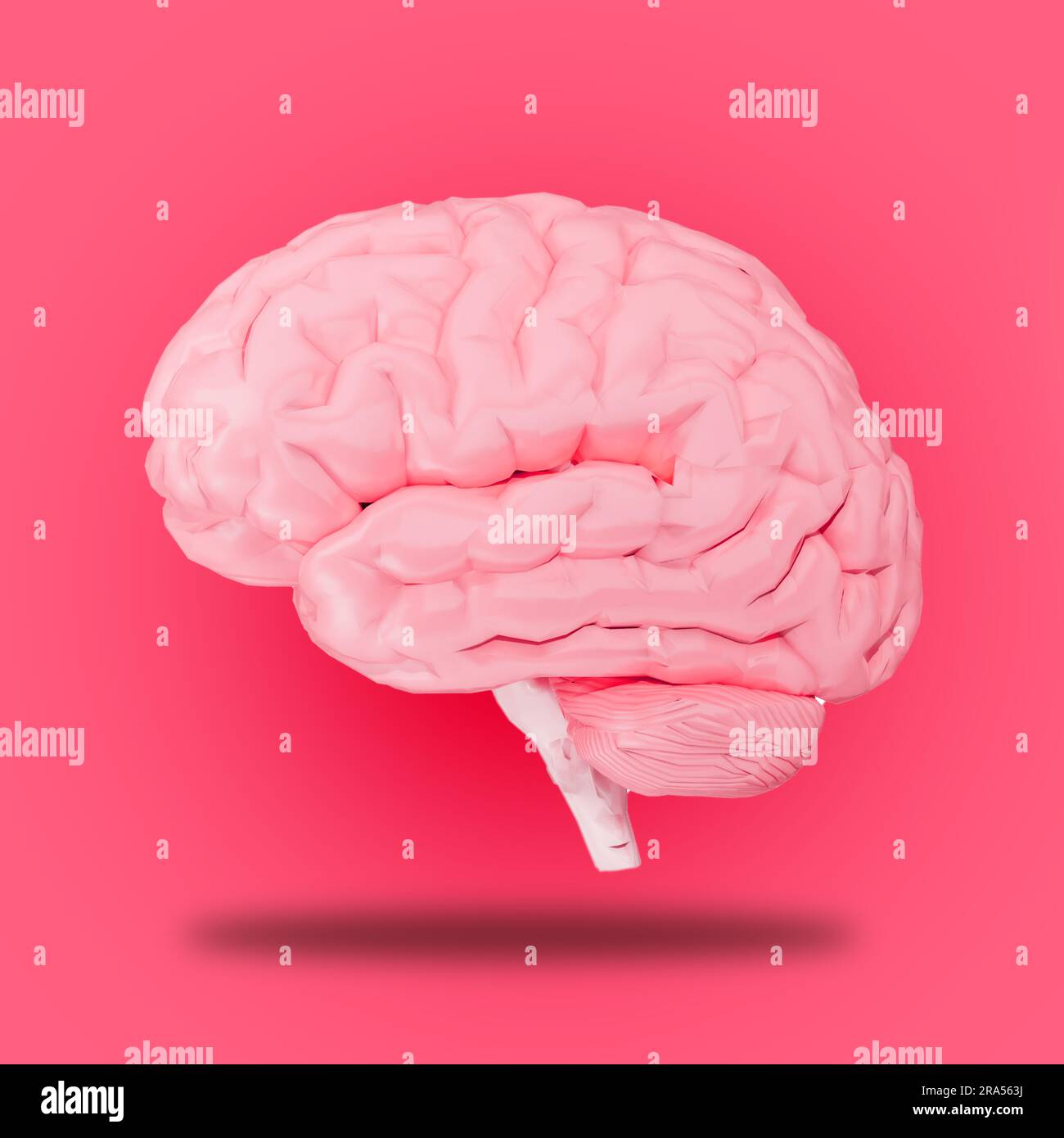 Human Brain on Pink background 3D Illustration Stock Photo - Alamy