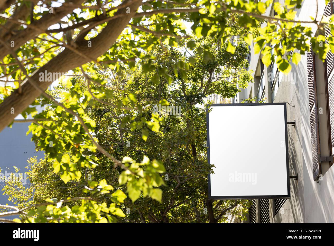 Blank sign fixed to building wall with copy space Stock Photo - Alamy