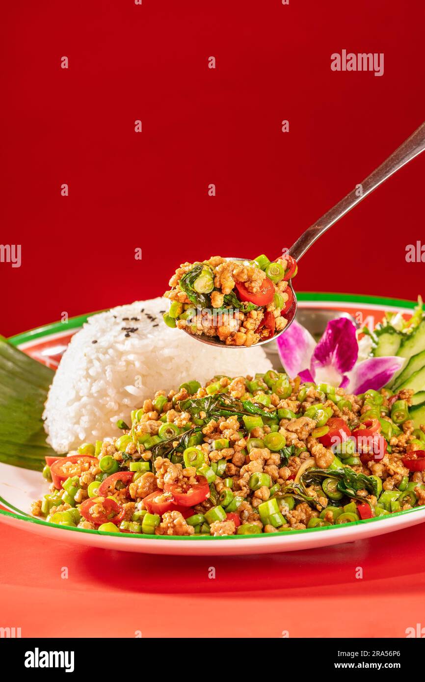 Pad Gaprao (Pad Kra Pao) Holy Basil Chicken Stir Fry Stock Photo - Alamy