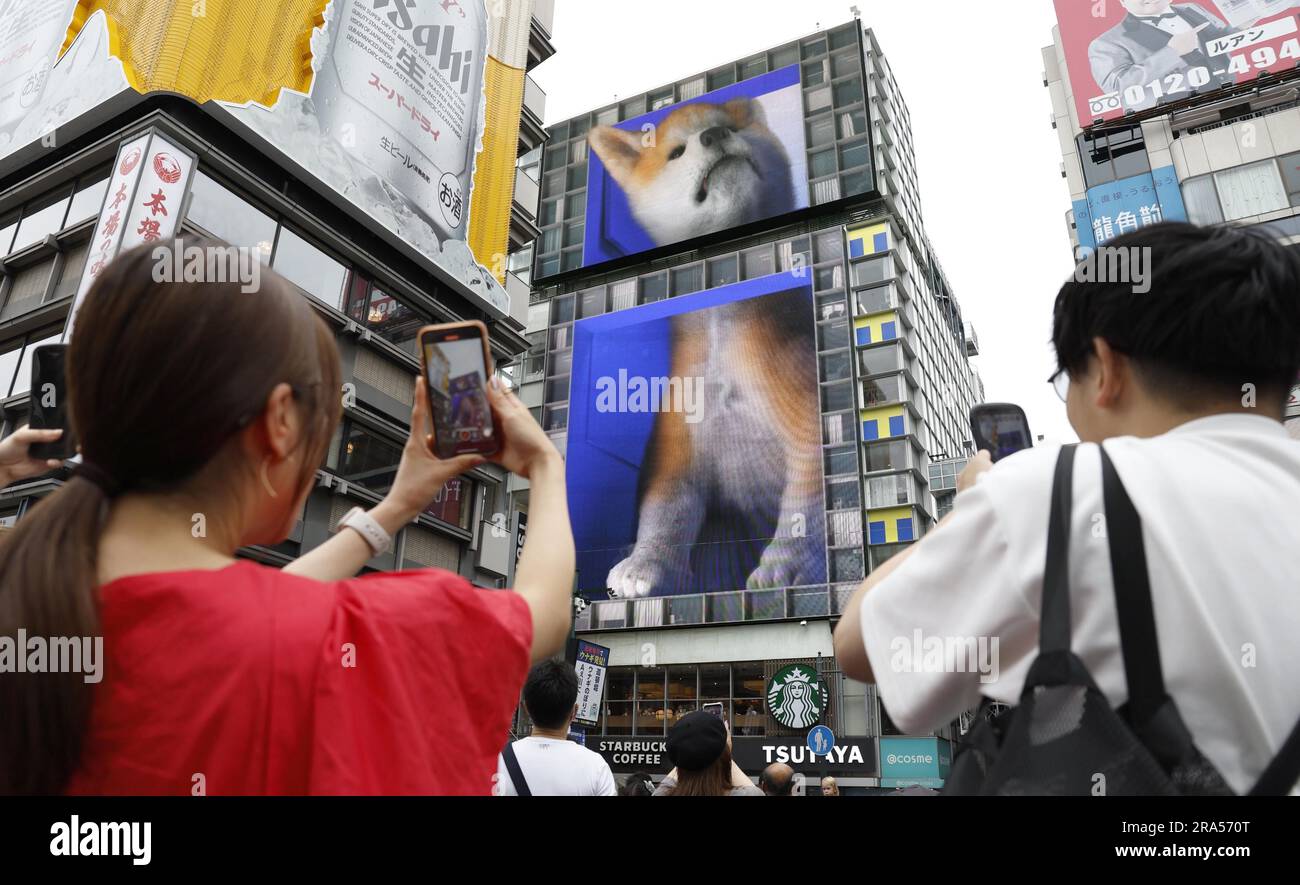 A three-dimensional advertisement board showing an Akita dog appearing ...