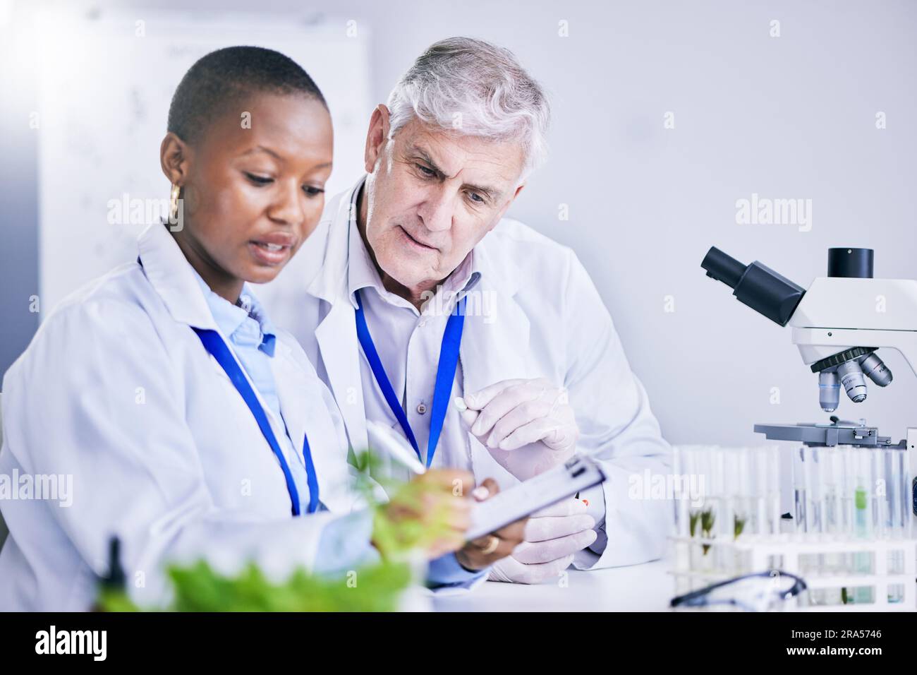 Paperwork, teamwork or scientist writing research notes for analysis on ...