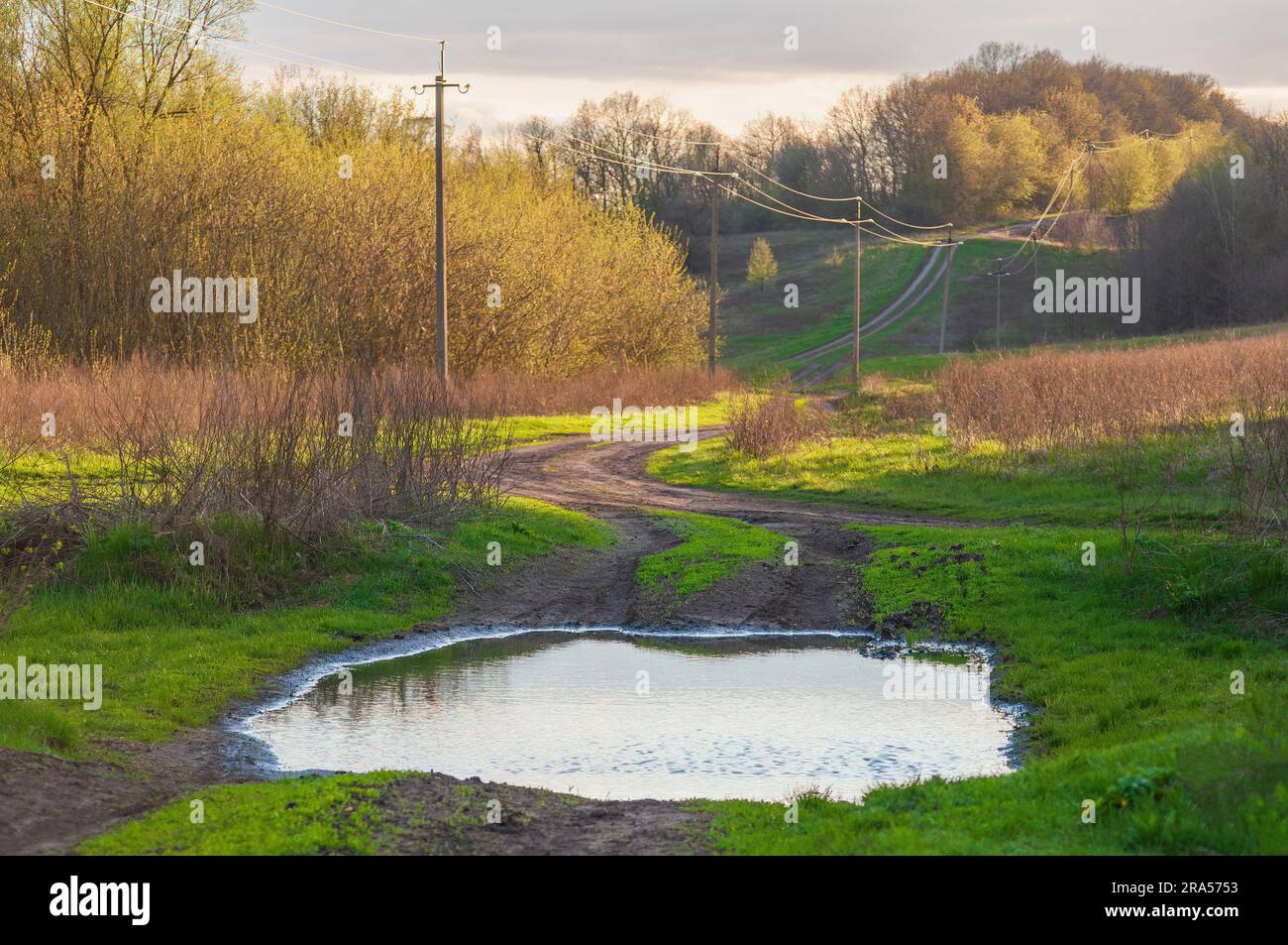 Ukrainian spring landscape, countryside. Dirt winding road in a ravine ...