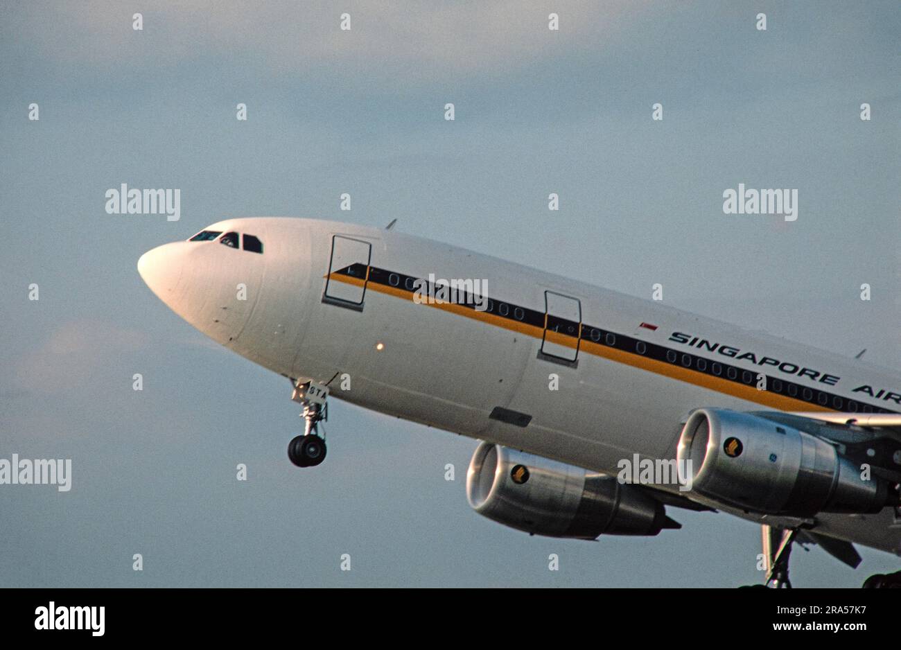 A Singapore Airways Airbus A330 taking off. Front fuselage and engines ...