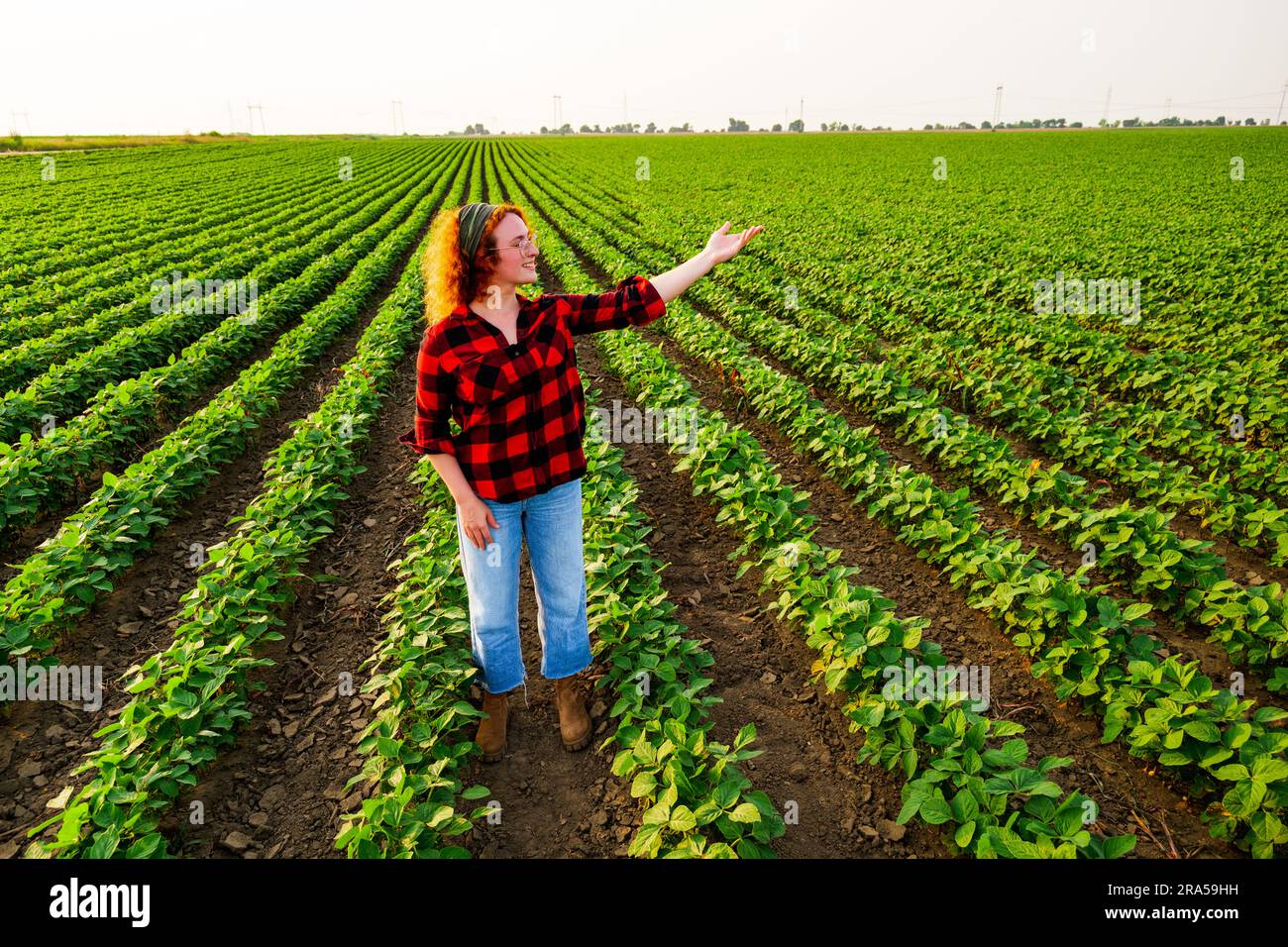 Female agriculture soy hi-res stock photography and images - Alamy