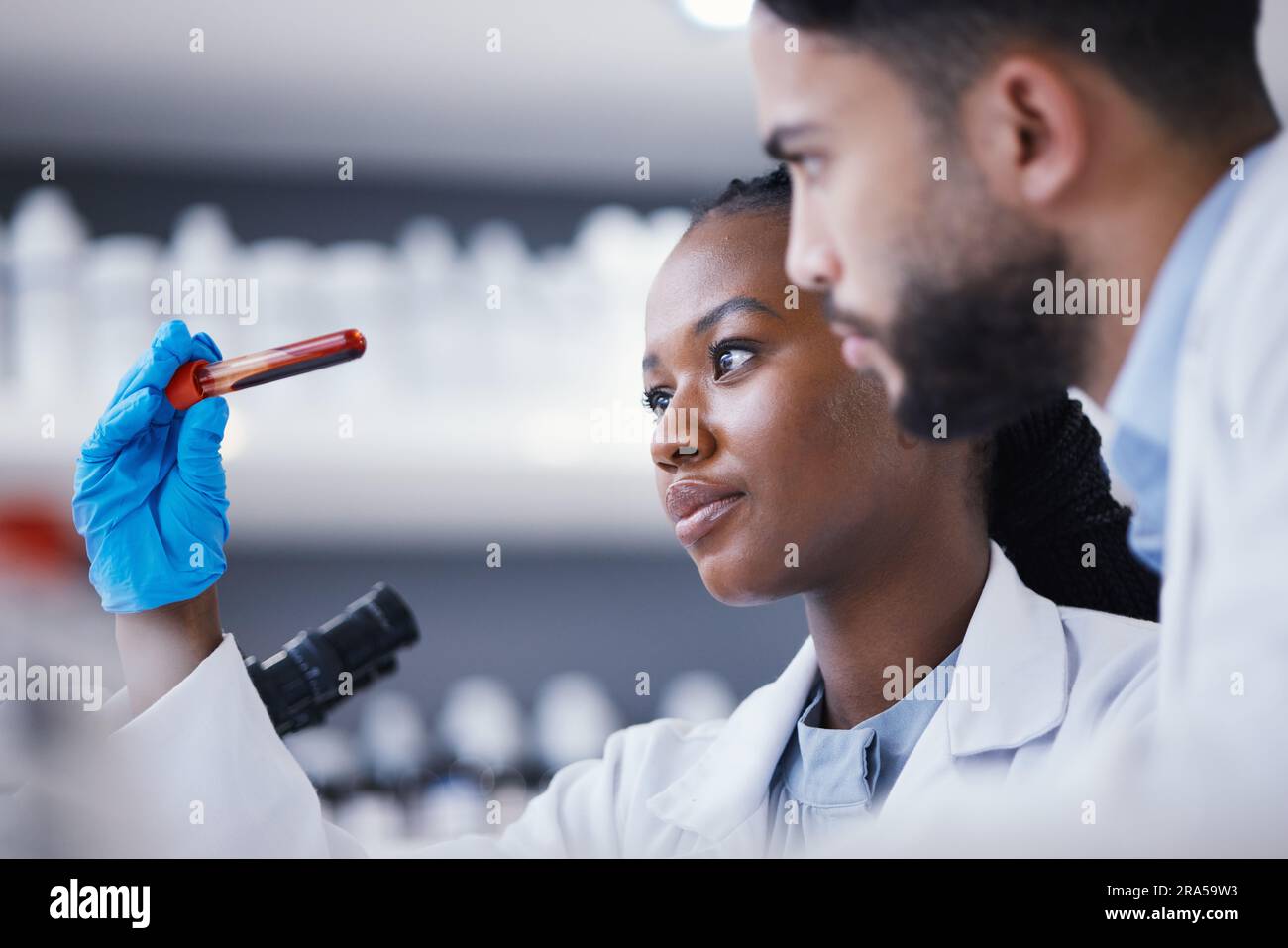 Science, blood test and team of scientists in lab working on medical ...