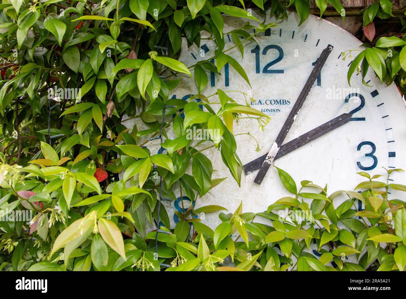 Simple clock face hi-res stock photography and images - Alamy