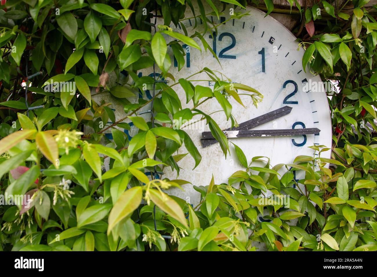 Simple clock face hi-res stock photography and images - Alamy