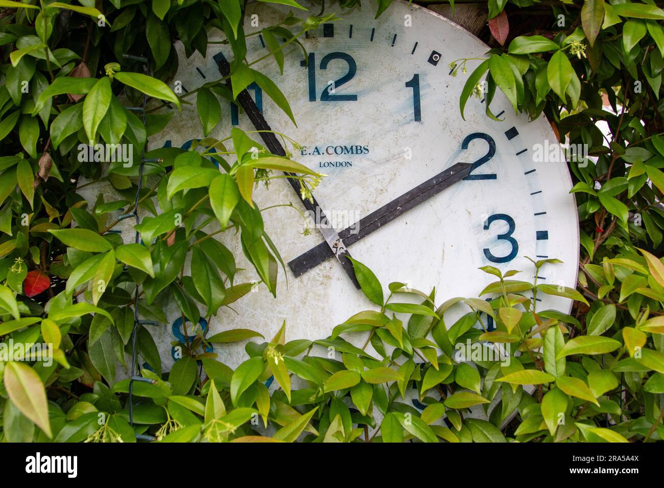 Discreet moment hi-res stock photography and images - Alamy