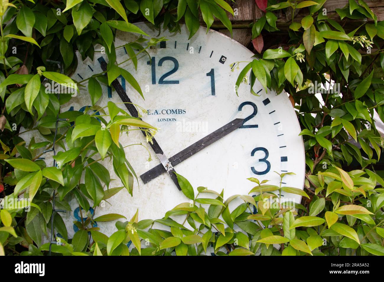 Simple clock face hi-res stock photography and images - Alamy