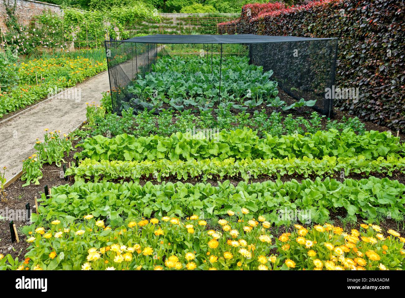 Castle Fraser Kemnay Aberdeenshire Scotland inside the walled garden in ...
