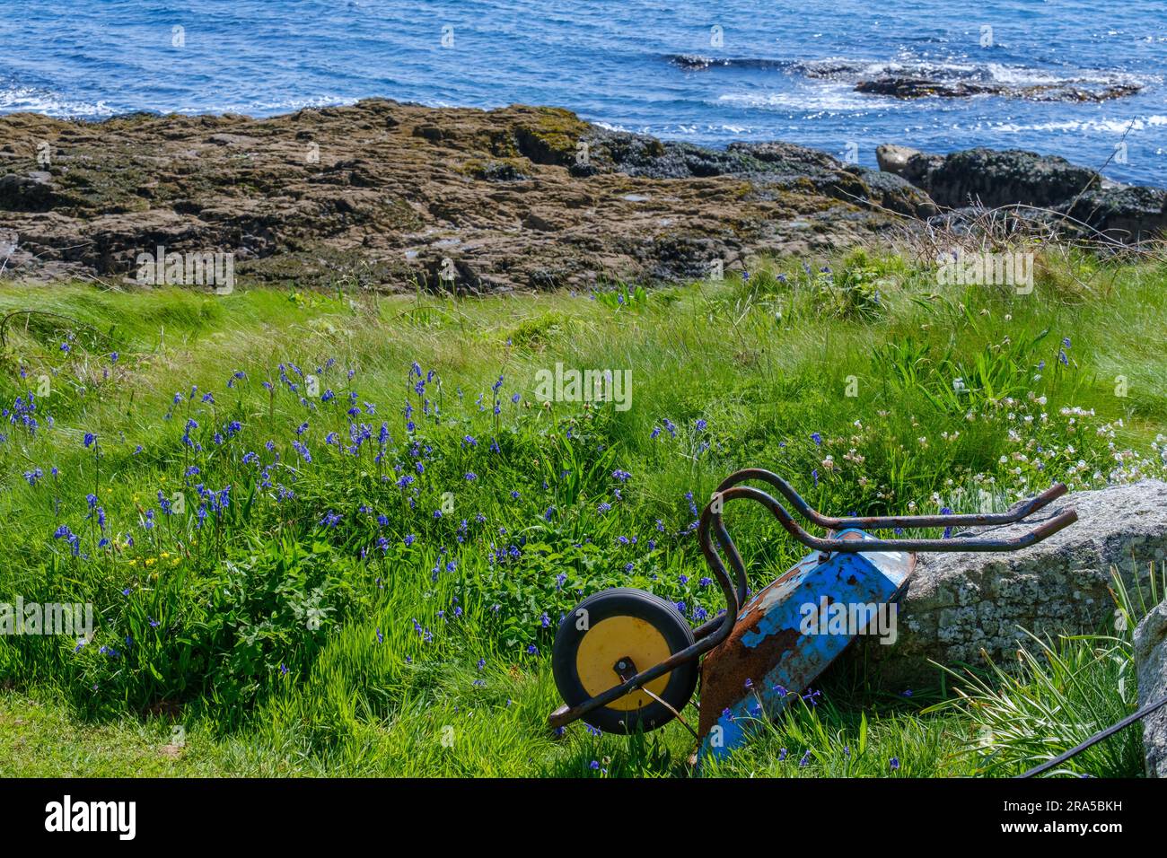 Old blue rusted overturned wheelbarrow with peeling paint leaning ...