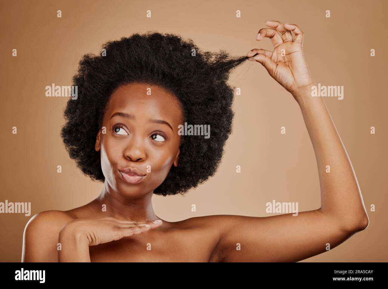 Hair care, black woman and natural afro for beauty in studio isolated ...
