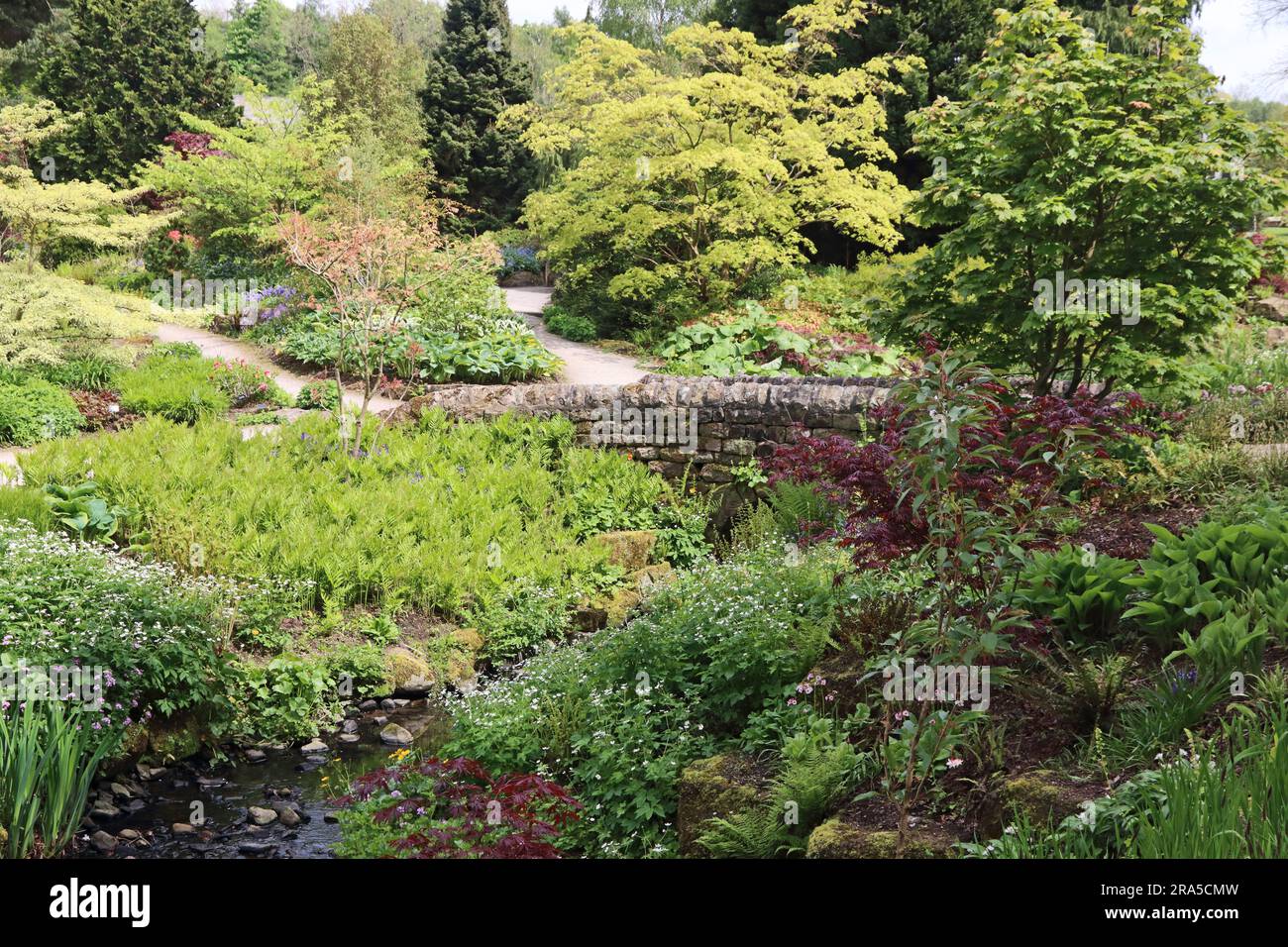Stone bridge over small stream, with banks planted with plants and ...