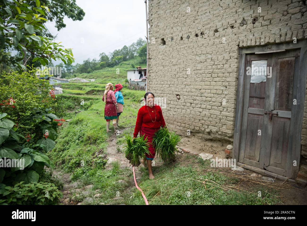 Kathmandu, Nepal. 30th June, 2023. Nepalese woman walks with rice ...