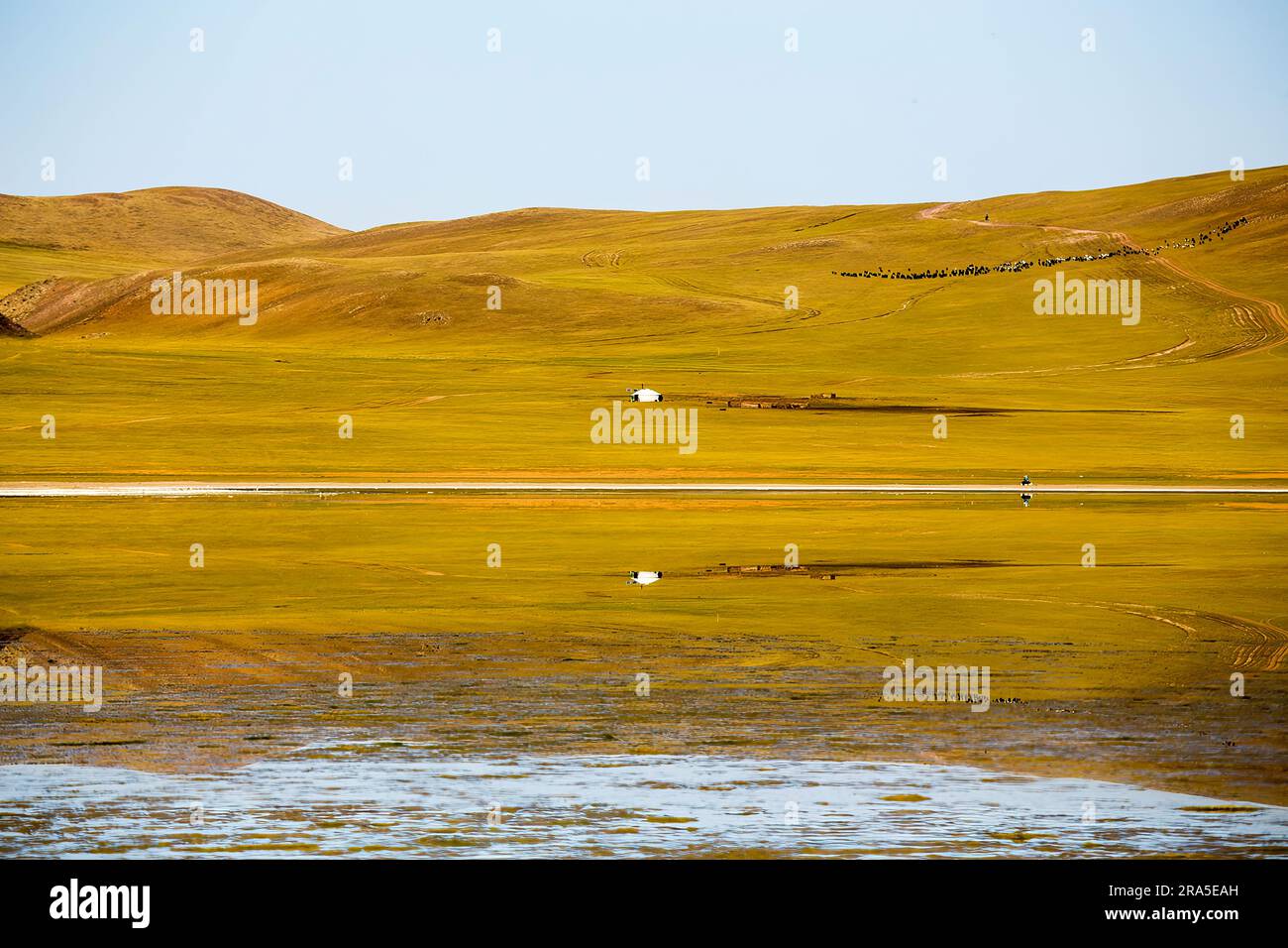 Perfect mirror image hi-res stock photography and images - Alamy