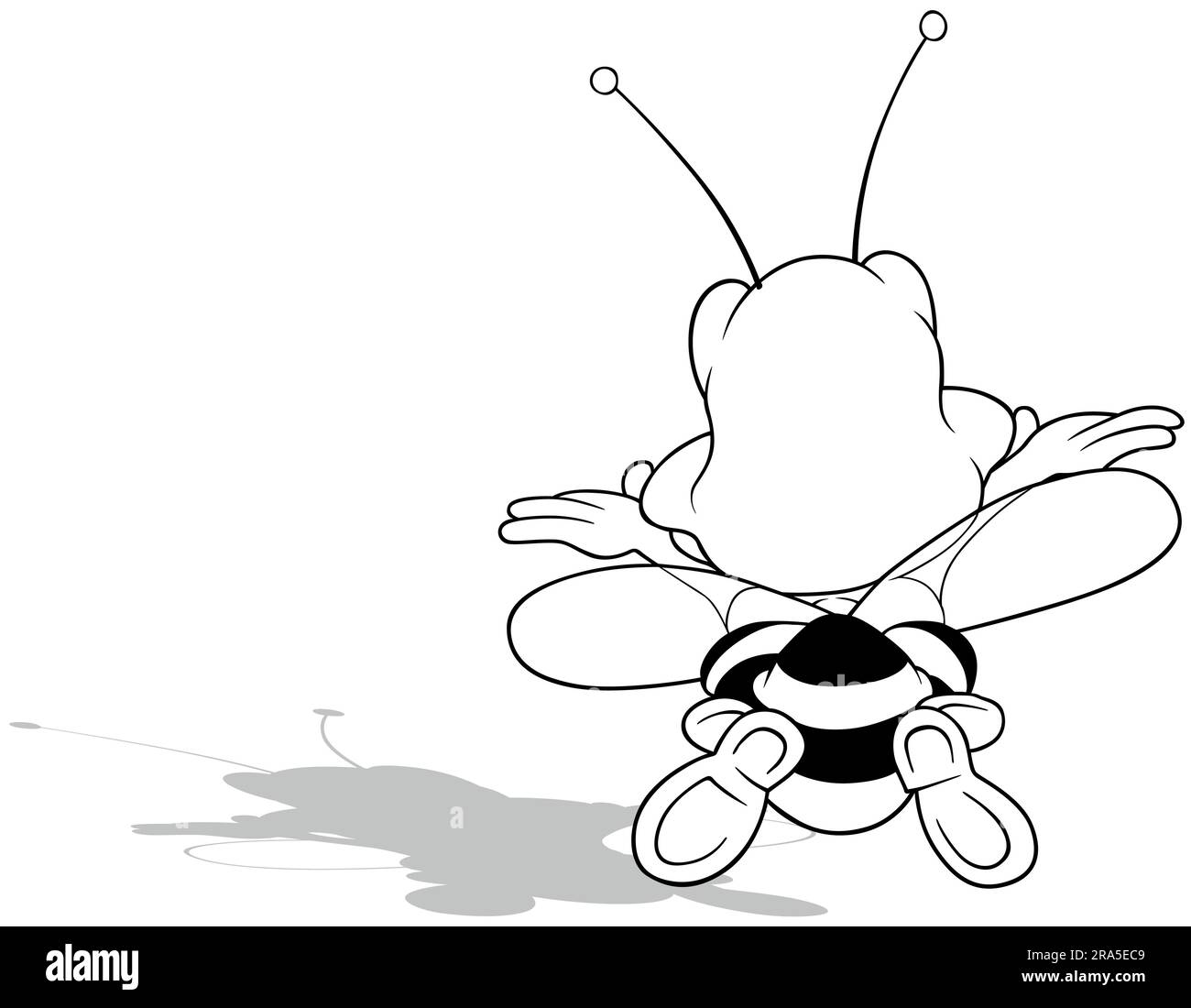 Flying bumblebee Black and White Stock Photos & Images - Alamy