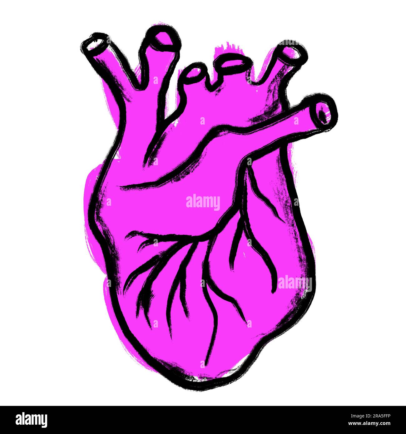 Hand drawn illustration of purple magenta heart. Medical medicine ...