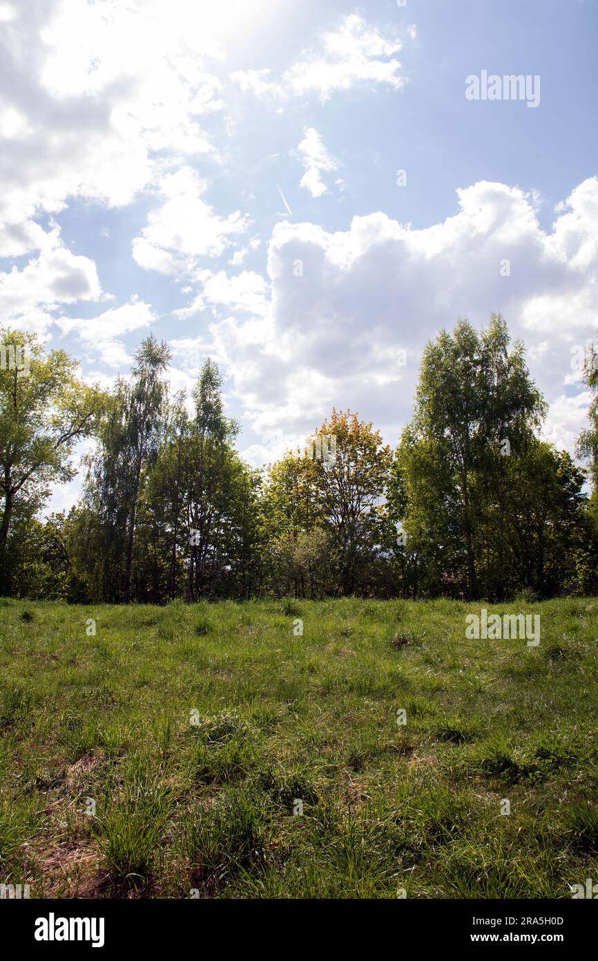 Meadow trees green cloud hi-res stock photography and images - Alamy