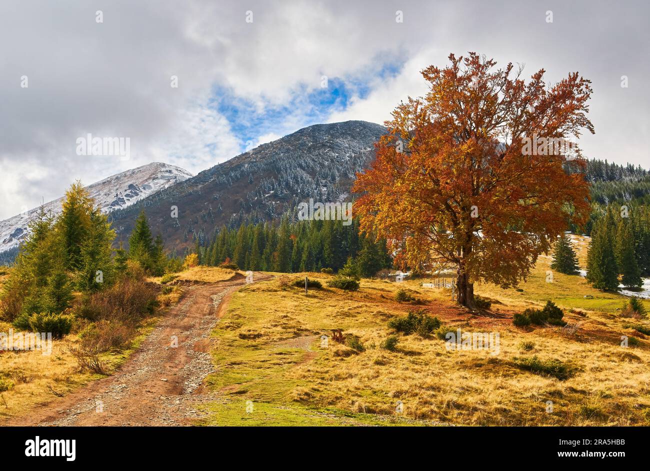 the mountain autumn landscape with colorful forest Stock Photo - Alamy
