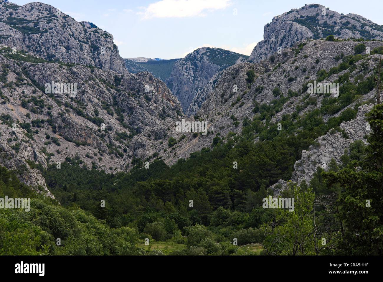 Limestone Canyon of Paklenica National Park, Croatia Stock Photo - Alamy