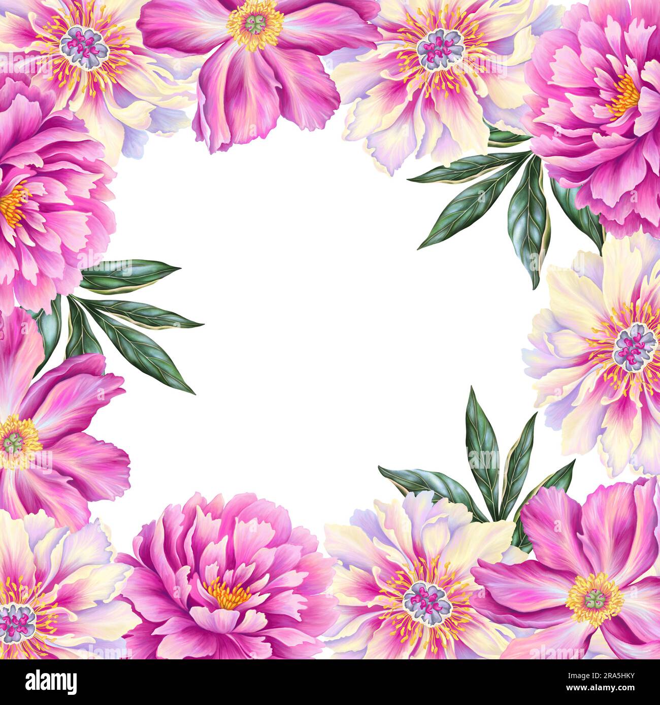 Template for text with beautiful peony. Frame or border with pink ...