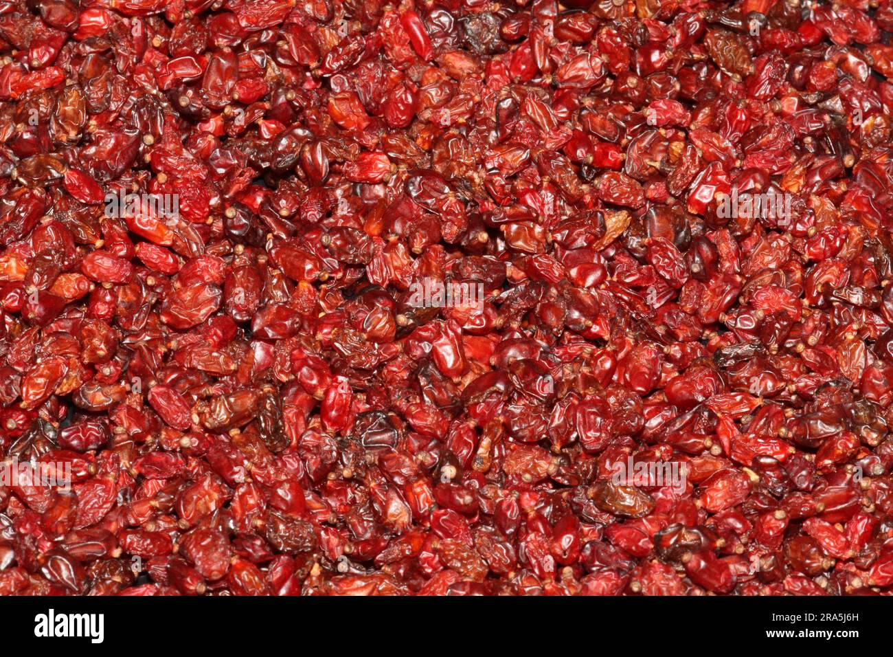 Dried barberry fruit Stock Photo - Alamy