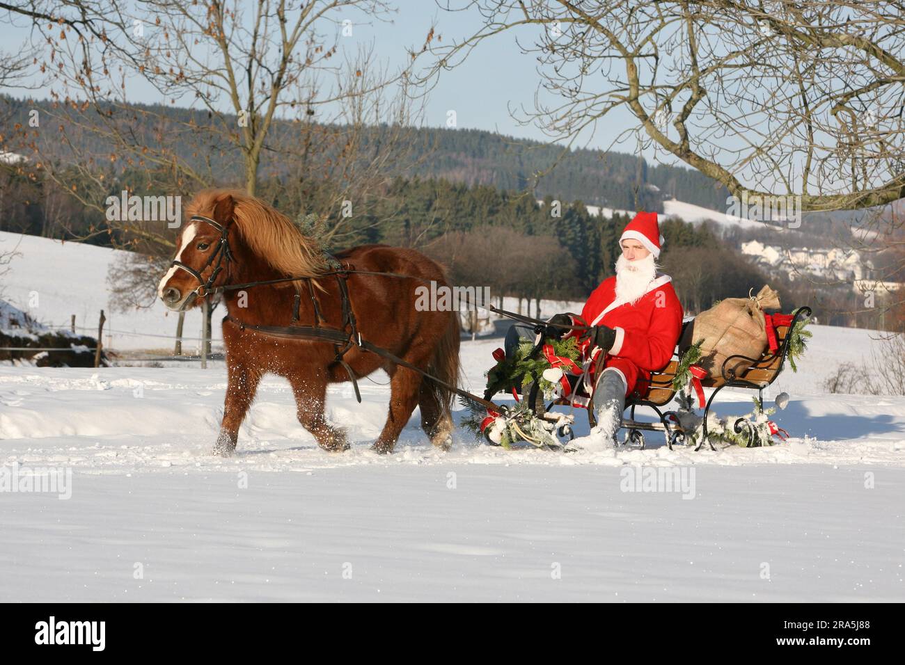Christmas sleigh ride Stock Photo - Alamy