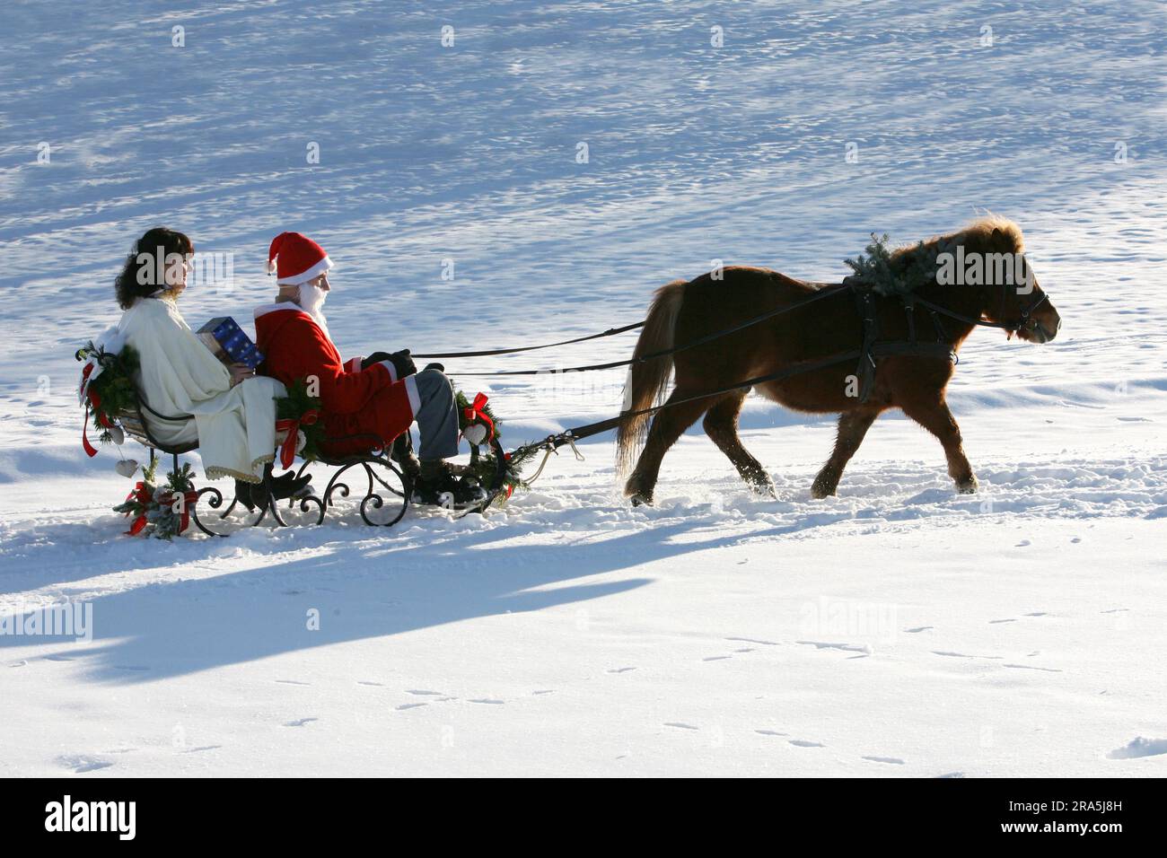 Ceremonial sleigh hi-res stock photography and images - Alamy