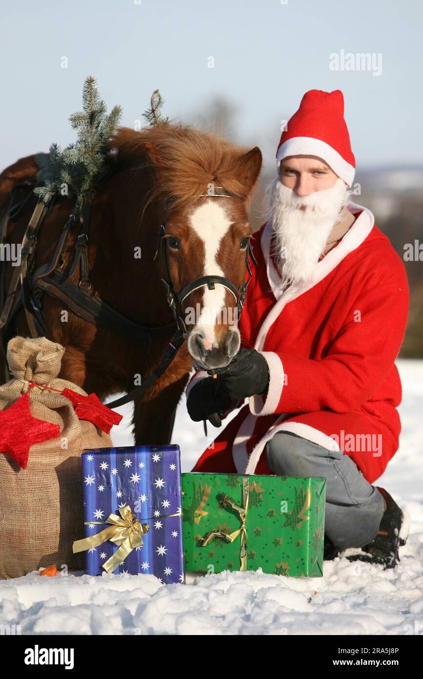 Pony snow cute hi-res stock photography and images - Alamy