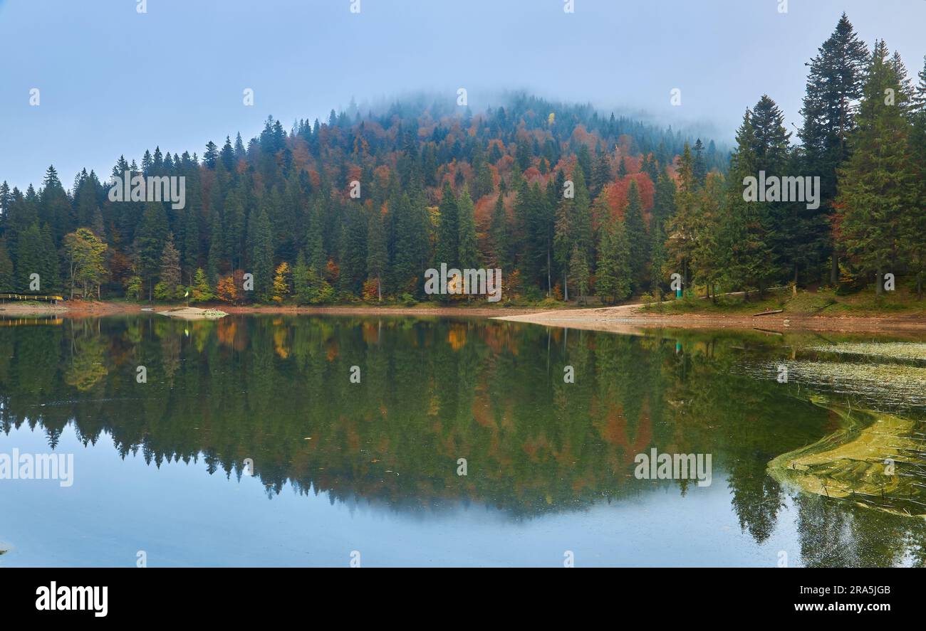 landscape at the mountain lake Synevyr in autumn. Beautiful nature ...